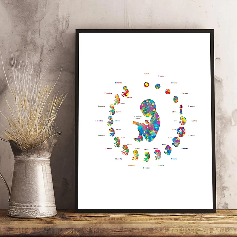 Pregnancy-Fetus-Development-Abstract-Art-Posters-Print-Embryo-Biology ...