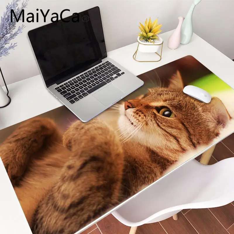 Sleepy Kitten Keyboard