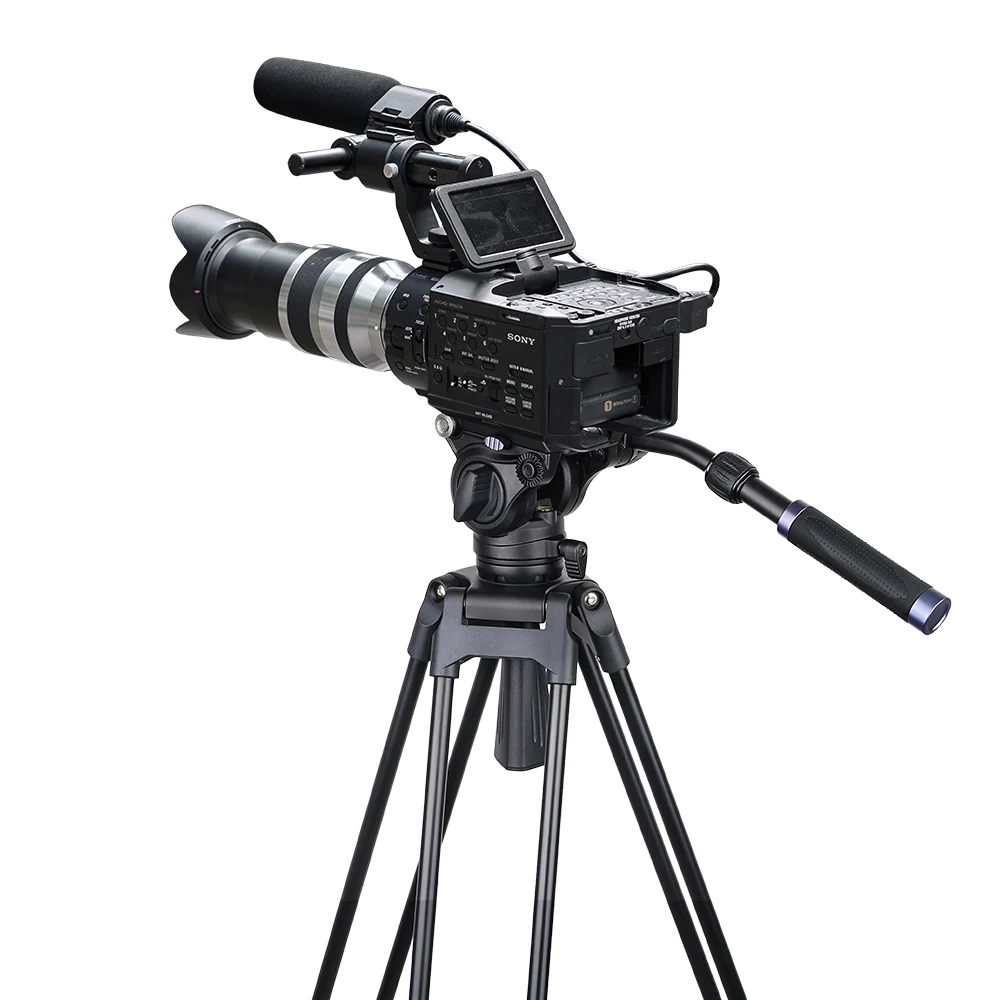 Professional Video Camera Art