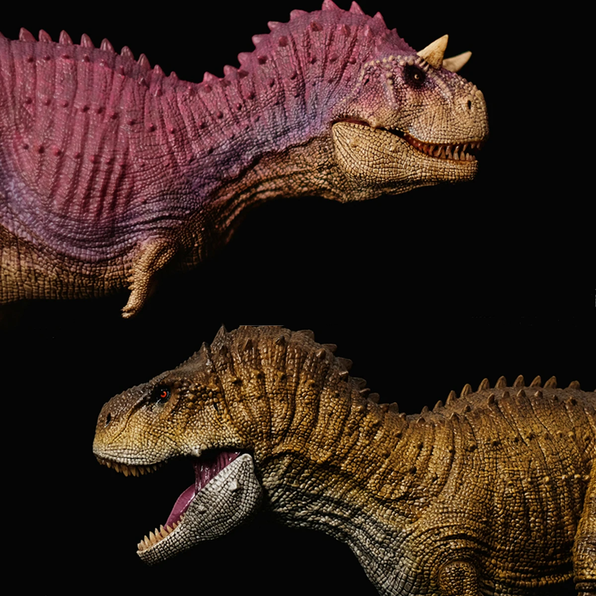 Cristatusaurus Dinosaur King