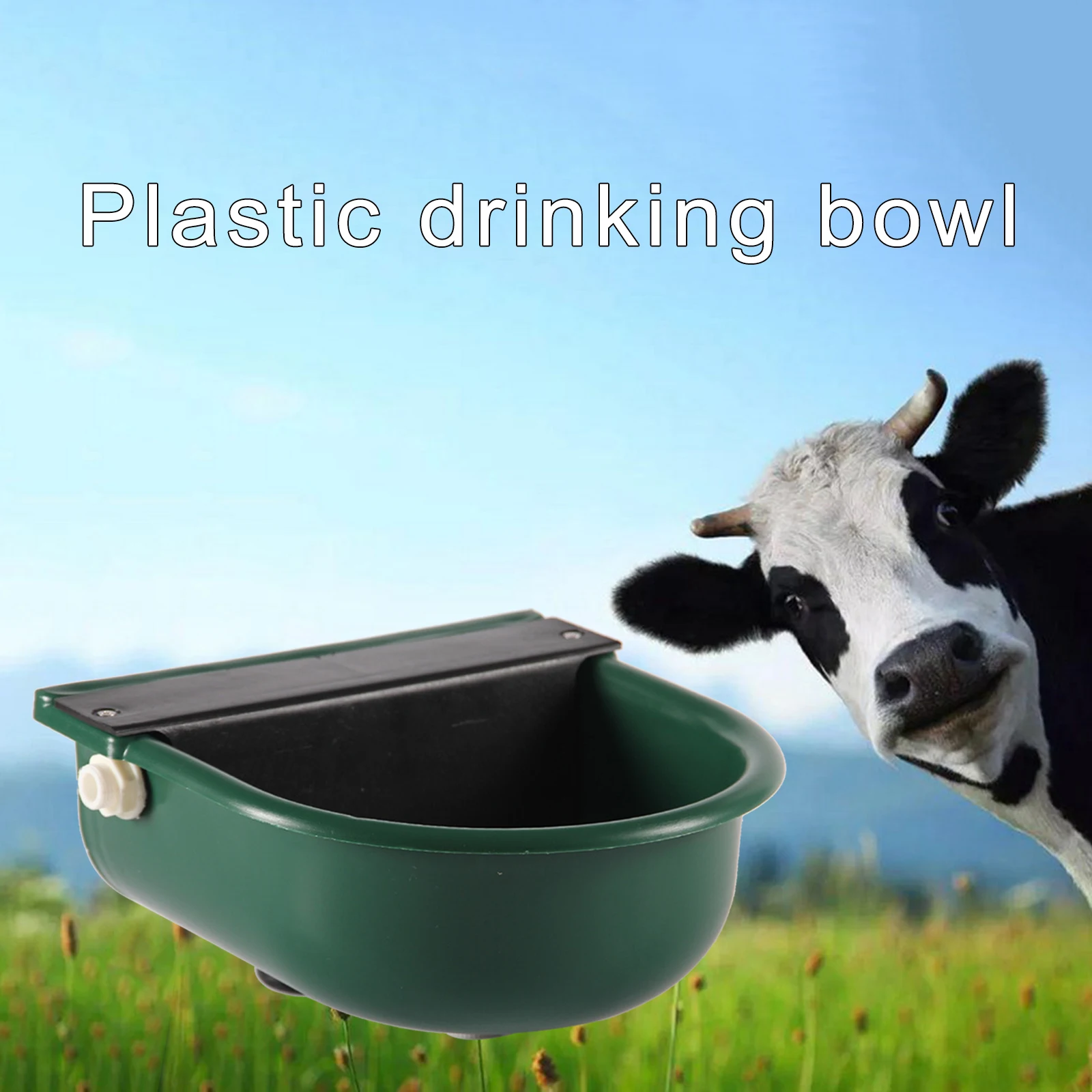 Farm Animals Drinking Water