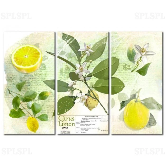 Vintage Lemon Art