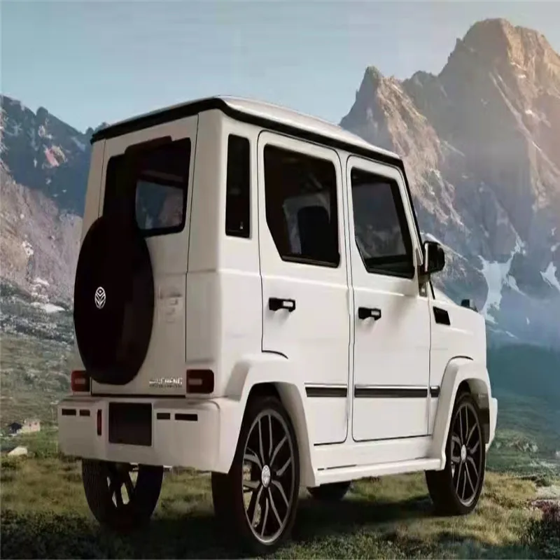 Coche eléctrico de 4 ruedas de alta velocidad para adultos, vehículo eléctrico de nueva energía ...