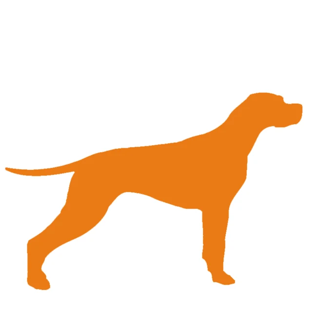 English Pointer Silhouette