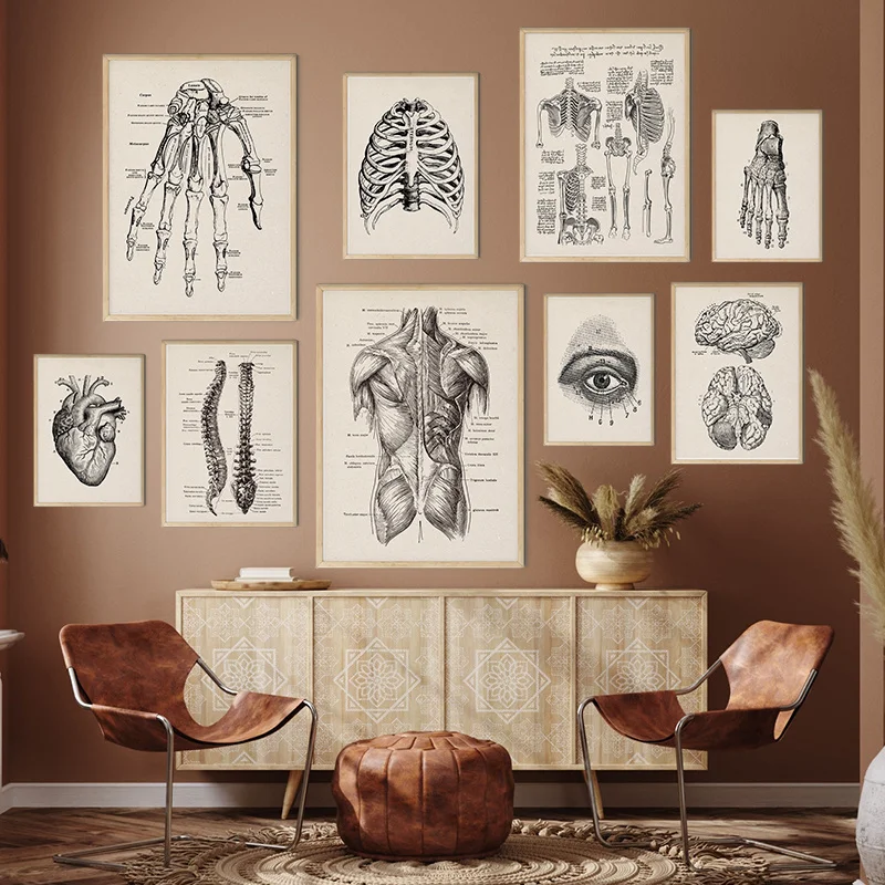 Vintage Human Anatomy Artwork Medical Wall Picture Muscle Skeleton ...