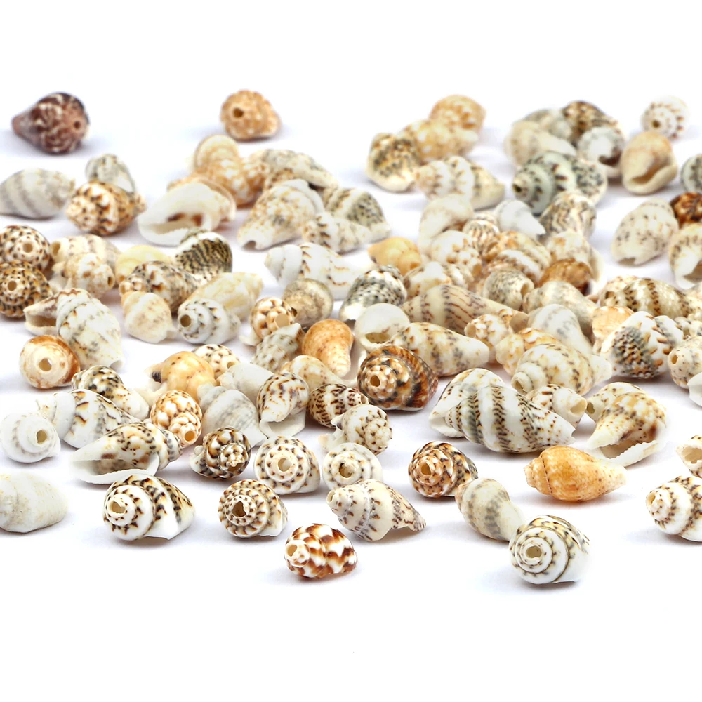 Mixed-Wholesale-Natural-Small-Conch-Shape-Beach-Seashell-Creative-DIY ...