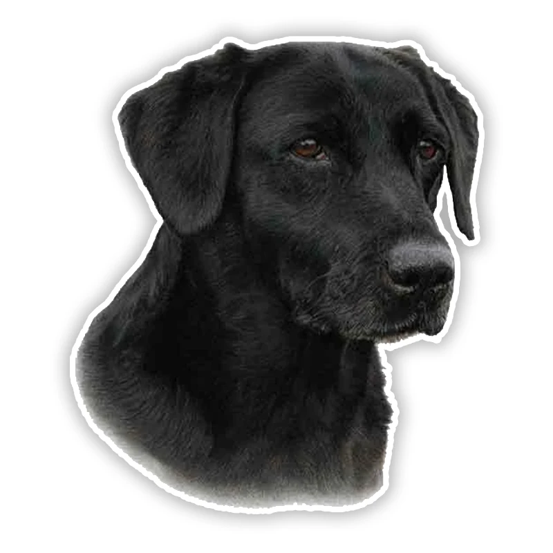 S50605-Black-Labrador-Car-Sticker-Personality-Vinyl-Decal-Waterproof ...