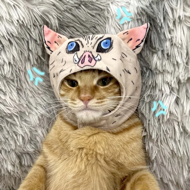 Disfraz de Anime Demon Slayer, gorro de Kimetsu No Yaiba, Hashibira ...