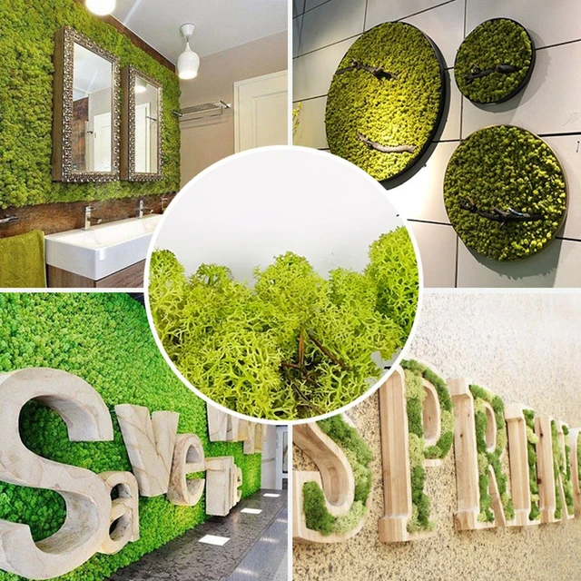 Artificial Moss Wall