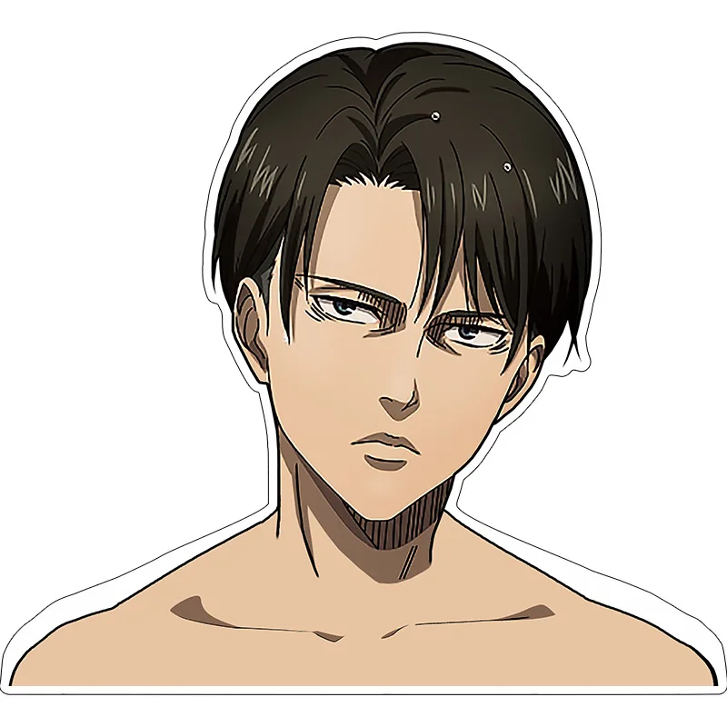 Mikasa Ackerman Face Manga