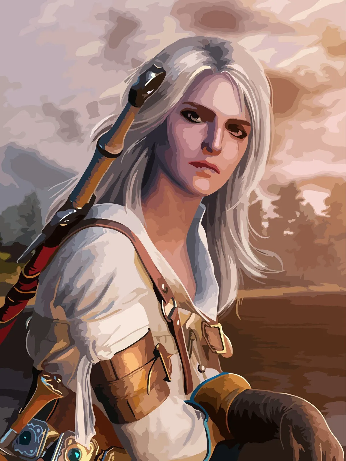 Painting By Numbers On Canvas Painting Set The Witcher Witcher Цири ...