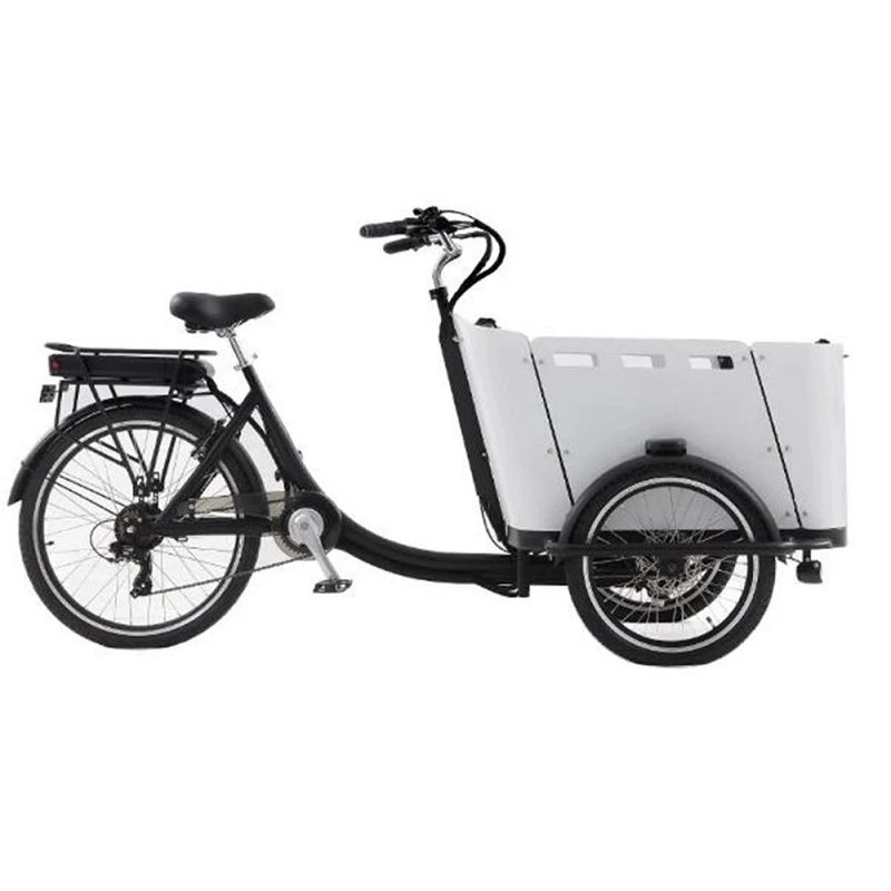 Chinese Three Wheel E Bakfiets Tricycle Electric Cargo Bike Frame In ...