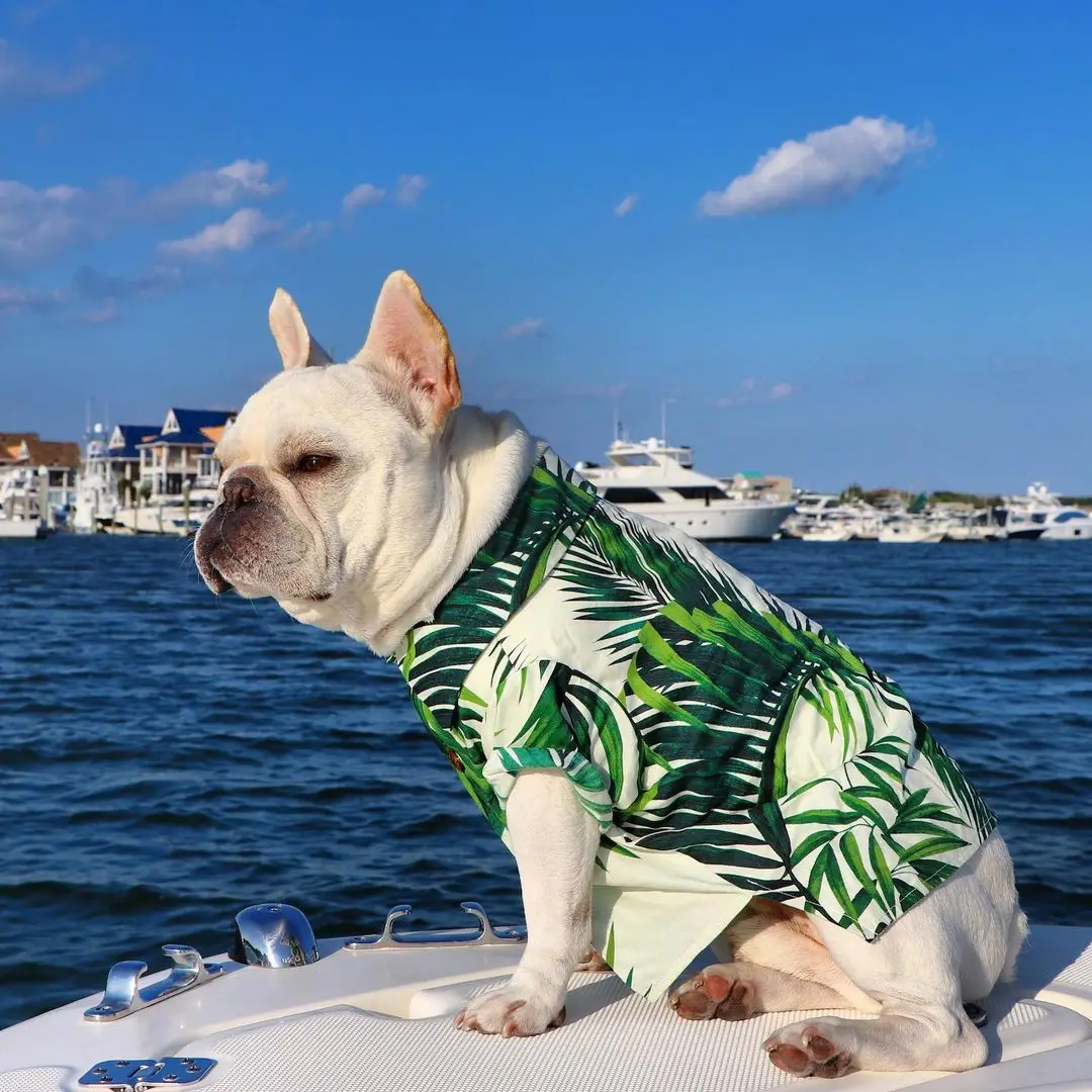 DogMEGA Hawaiian Shirt for Dog | Dog Summer Clothes – DogMega.Com
