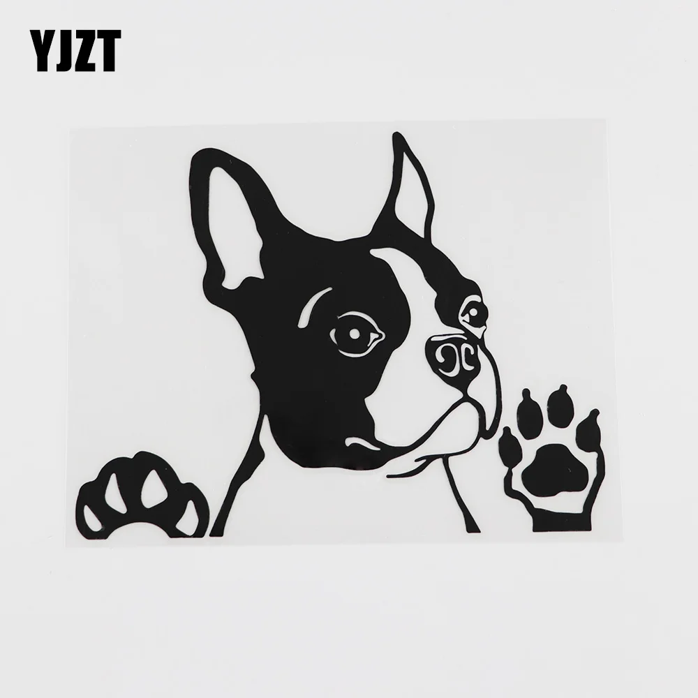 yjzt-15-2x11-7cm-bonito-touro-franc-s-c-o-animal-de-estima-o-cabe-a-jpg