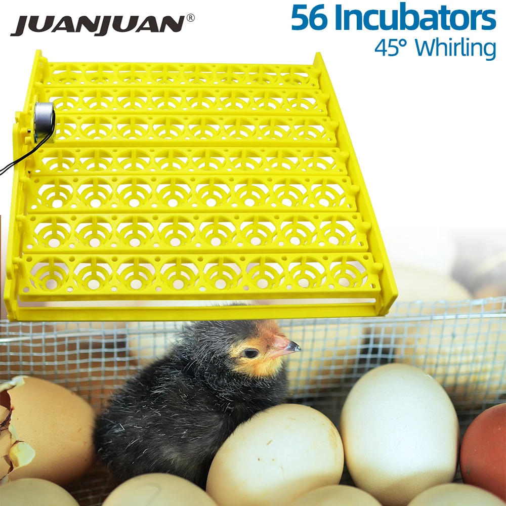 Egg Incubator Automatic 56 154 Plastic Bird Eggs Duck Chicken Eggs ...