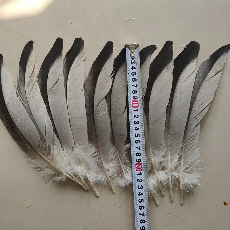 10 pcs Rare Grey Heron Feathers 23 28 cm Hat Costume Celebration ...