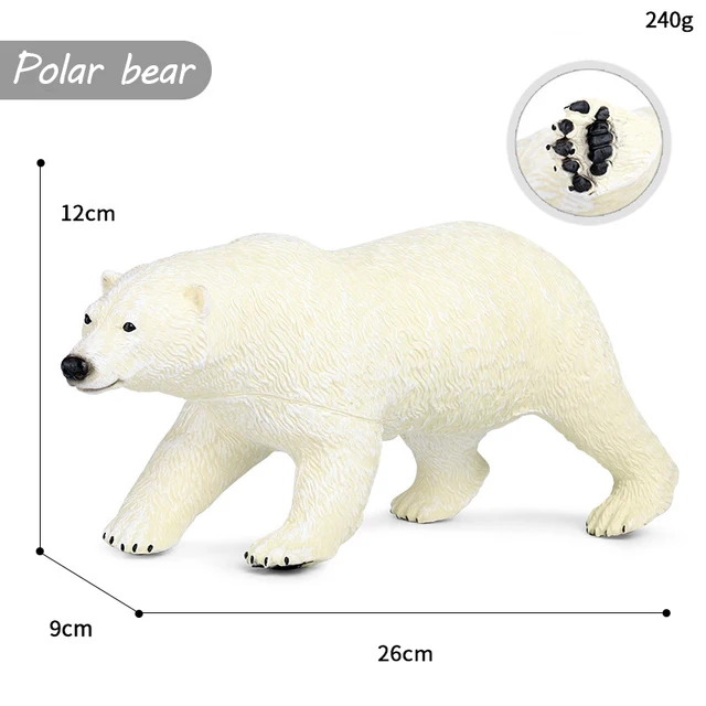 Polar Bear Body Parts Diagram