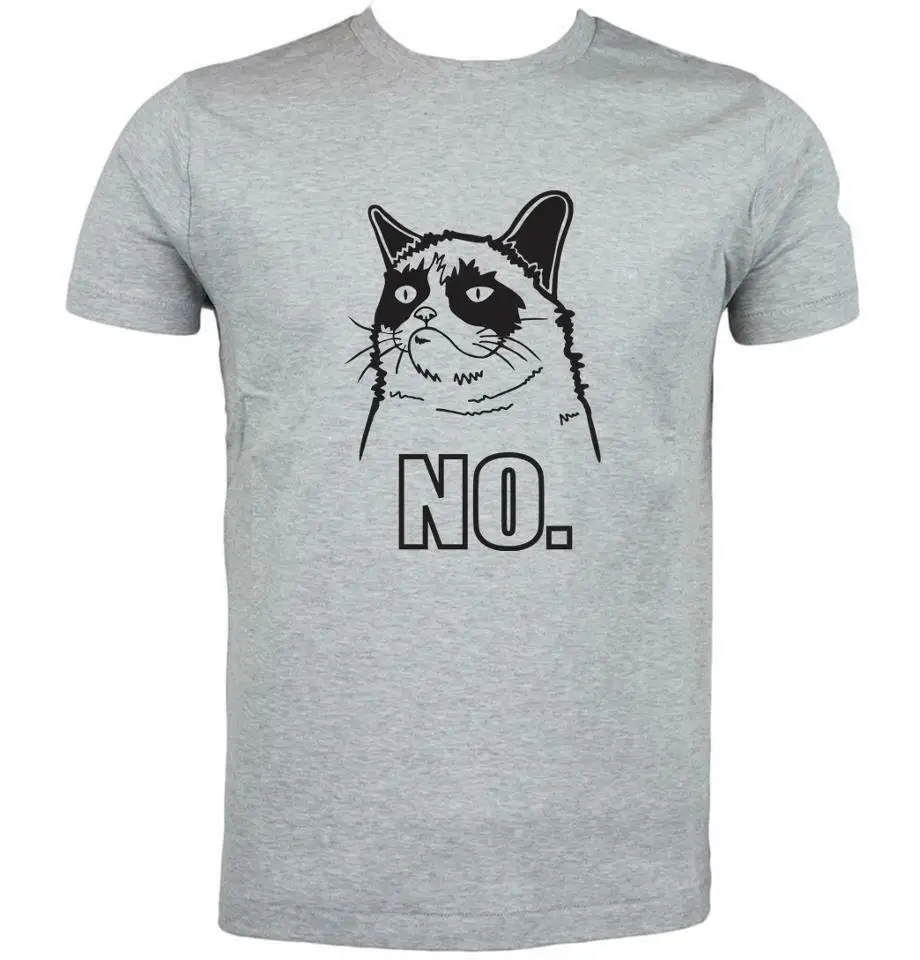 Grumpy Cat Meme Saying No