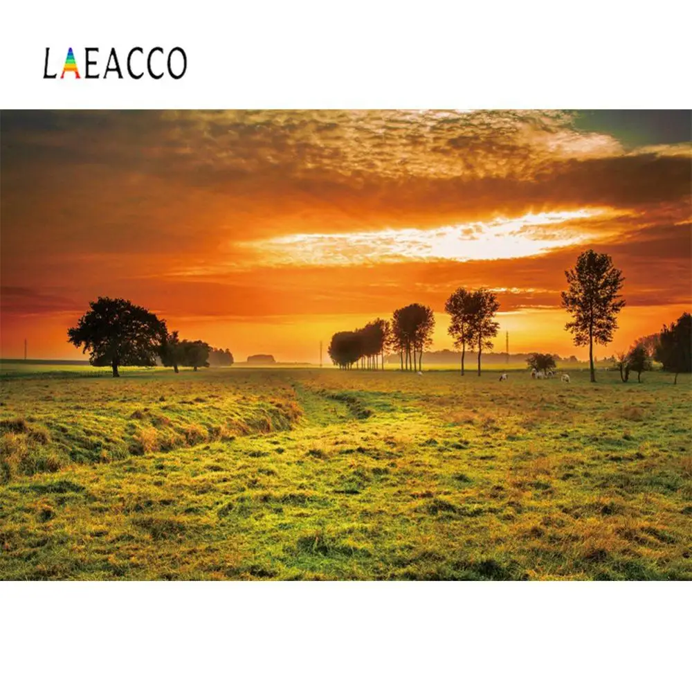 Laeacco Vinyl Backdrops Rural Farm Grass Sheep Tree Sunset Dusk Scenic ...