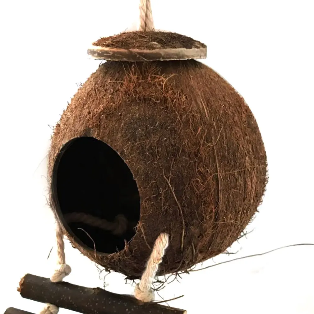 Coconut Shell Bird Nesting House | That's So Fetch!