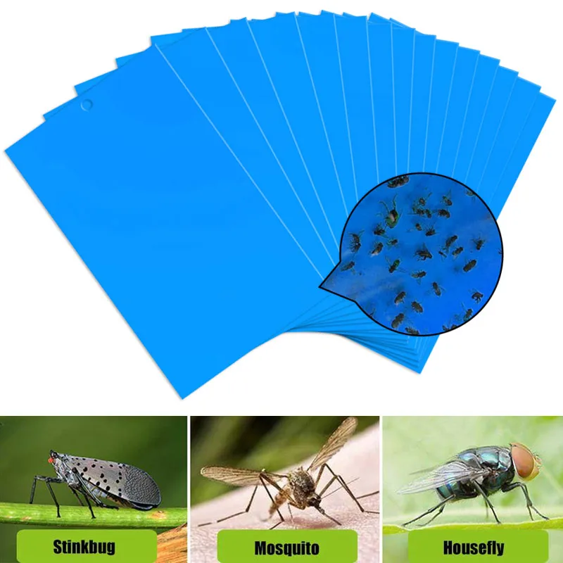 Strong Flies Traps Blue Board Double Side Bugs Sticky Board Pest Killer ...
