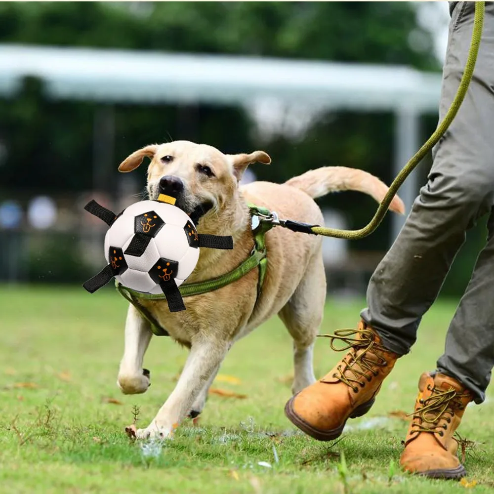 DogMEGA™ Outdoor Training Interactive Rope Football – DogMega.Com