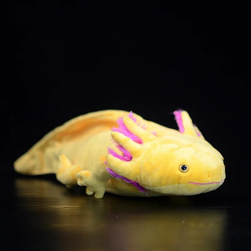 Axolotl Gold