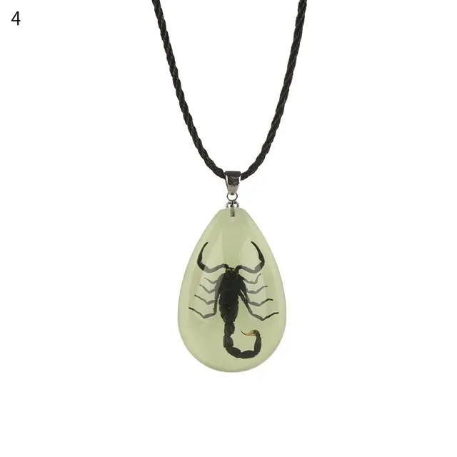 Natural Insect Pendants Necklace Resin Scorpion Crab Chain Necklace ...