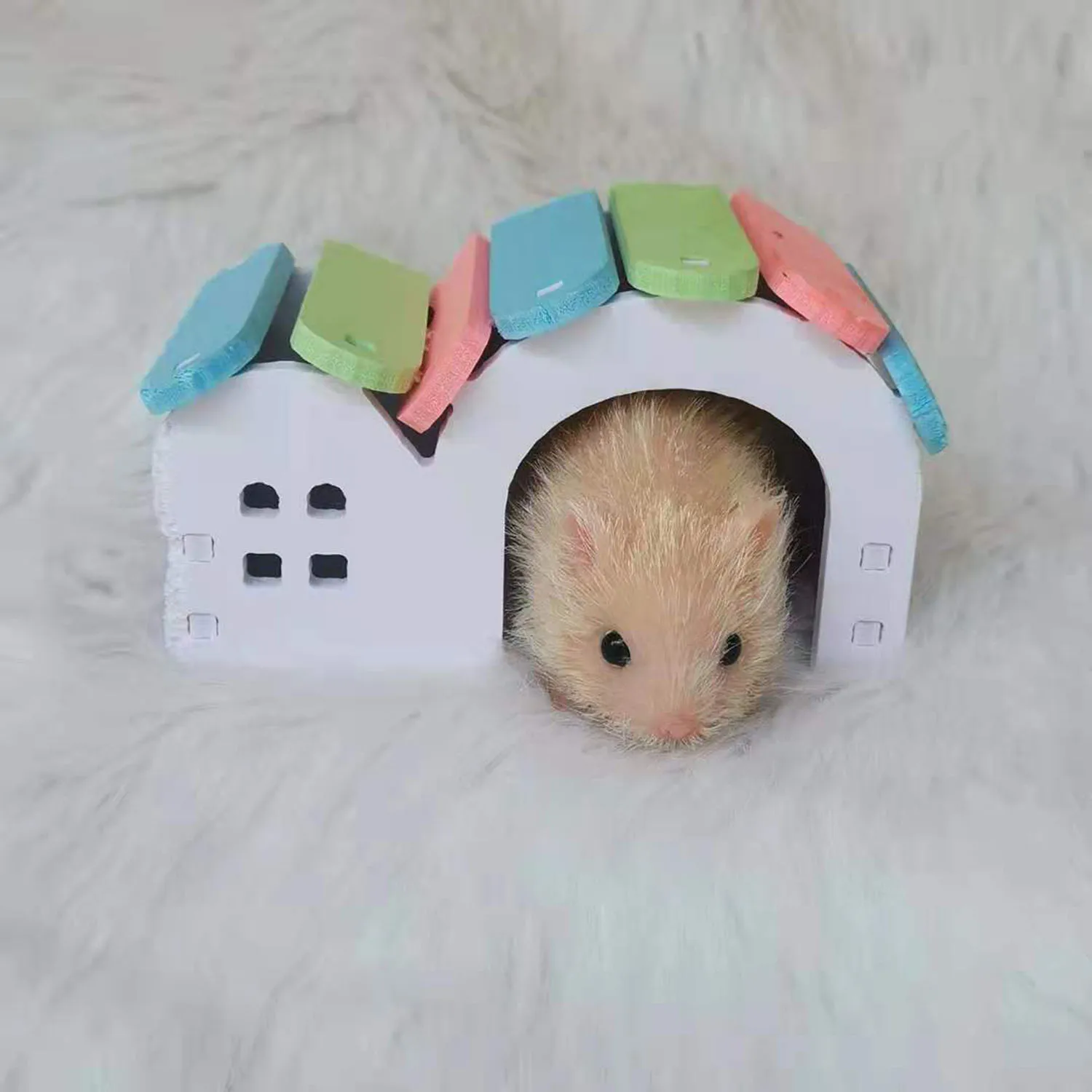 The Cutest Baby Hamster In The World