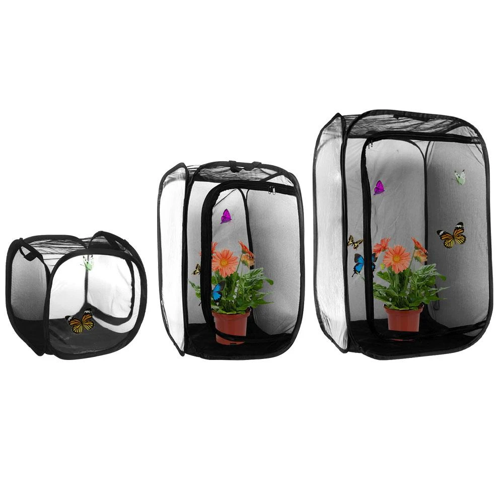 Butterfly Habitat Mini Insect Butterfly Cage Foldable Pop up Insect ...