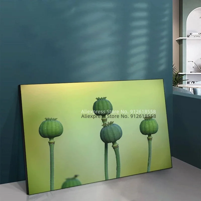아트 프린트 파피 씨앗 포드 식물 프린트 포스터 사무실 방 벽 장식 월 아트 그림 현대 추상 유화그림 And 서예