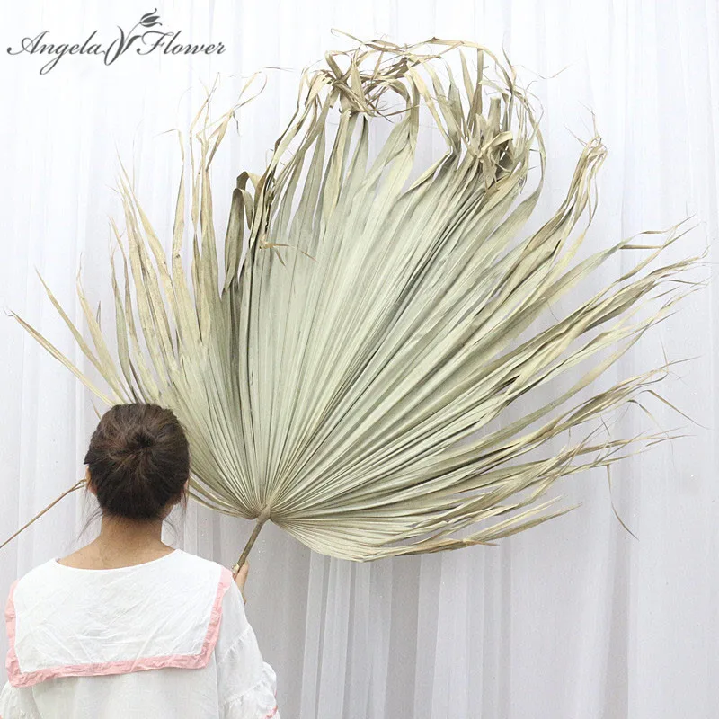 10 Pcs Dried Flower Large Dried Leaves Artificial Plants Palm Leaf ...