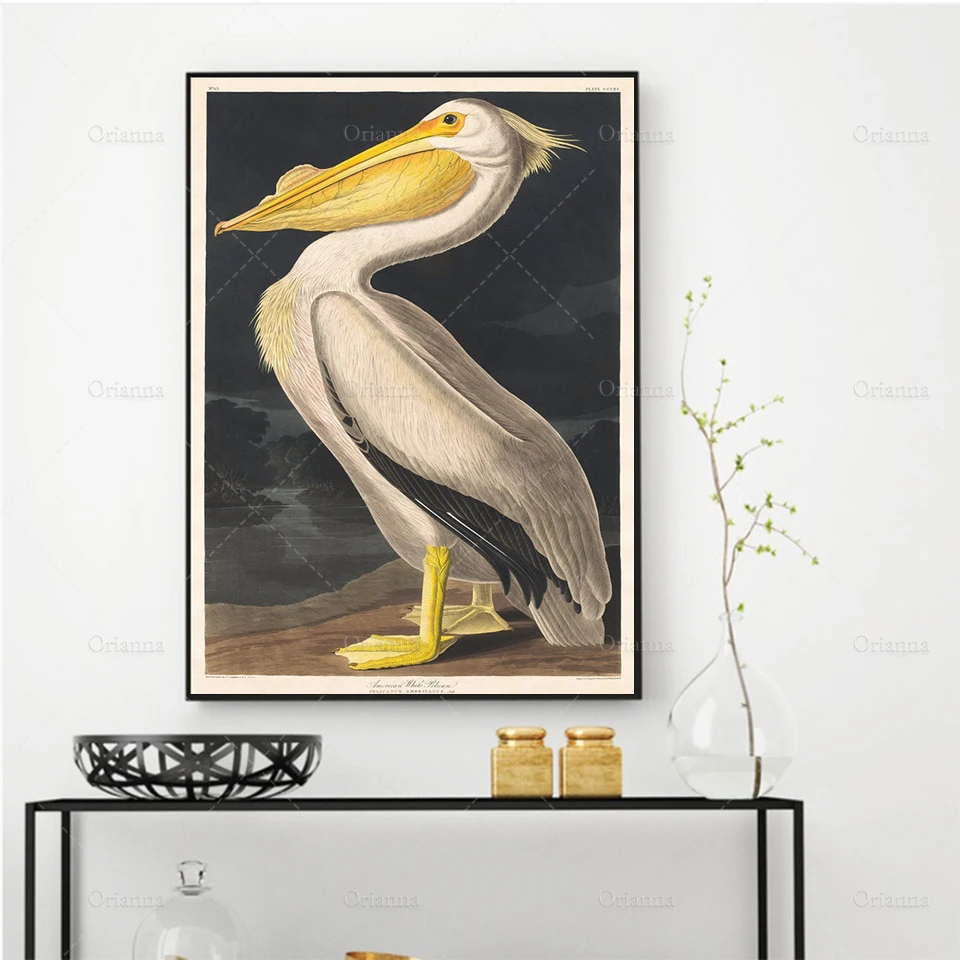Vintage Audubon Bird Prints