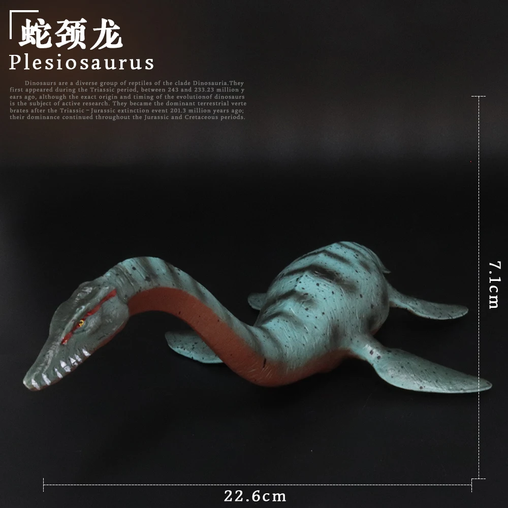 Plesiosaur Size