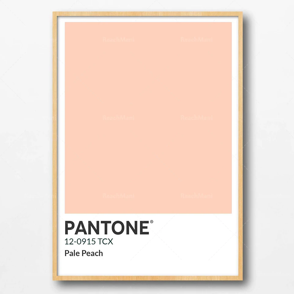 Light Peach Color Paint