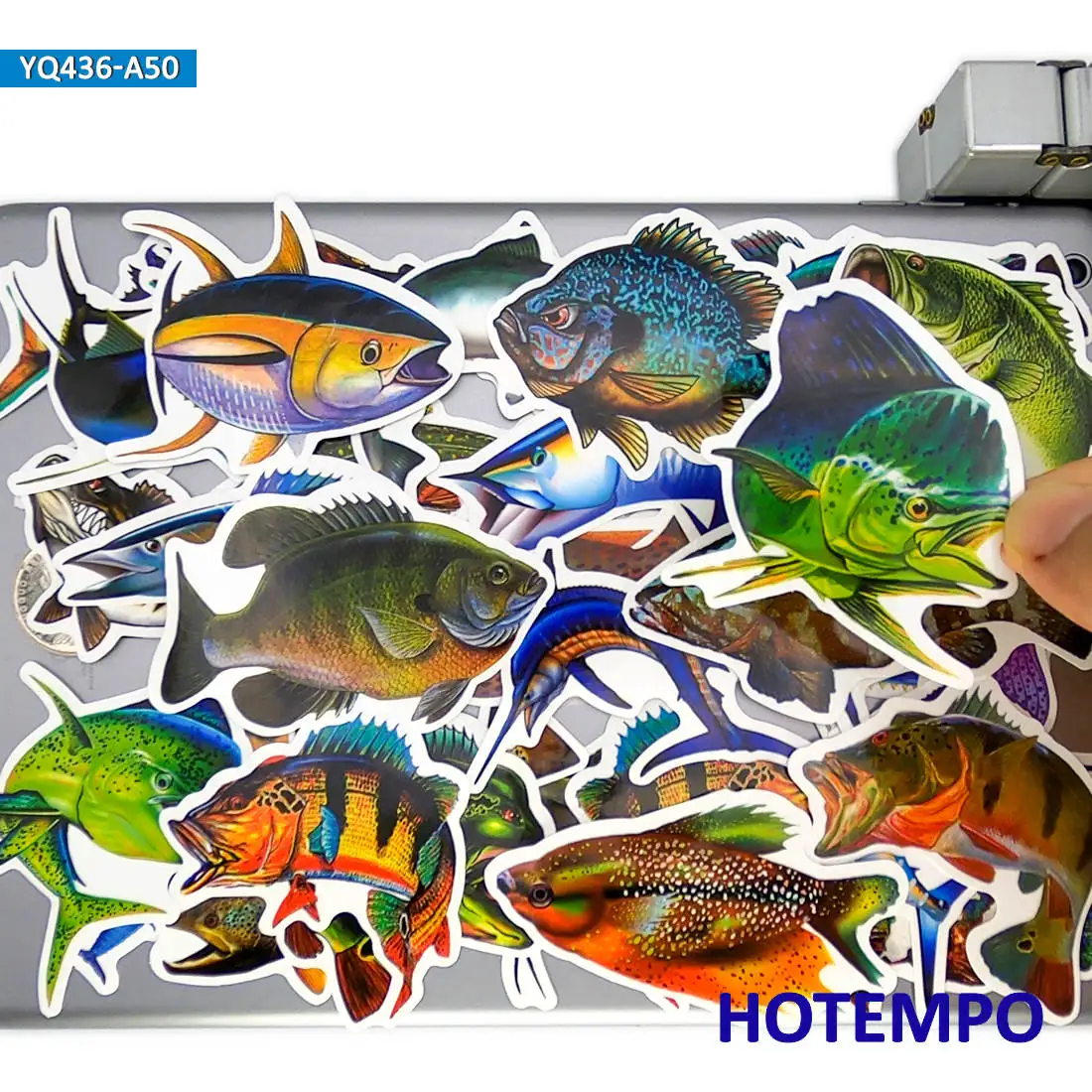 50Pieces-Go-Fishing-Style-Marine-Fish-Stickers-for-Fisherman-Boat-Phone ...