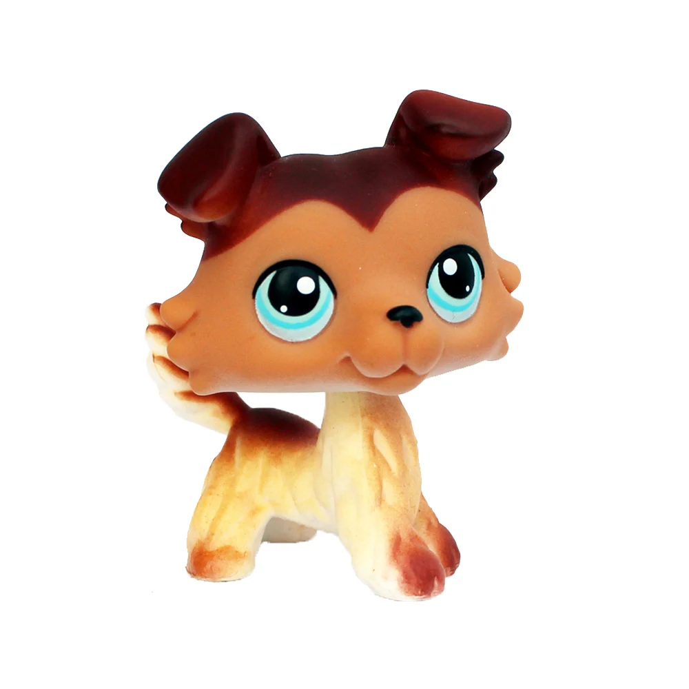 How Do Lps Real Collie Looks