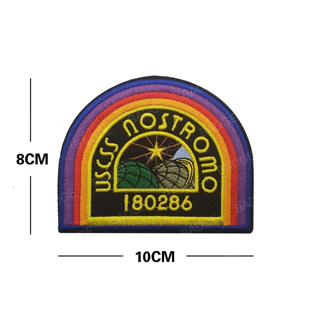 Nasa Flight Wing Patch