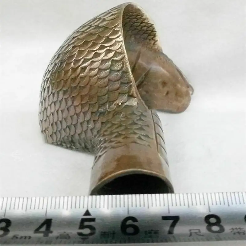 Chinese Winged Snake