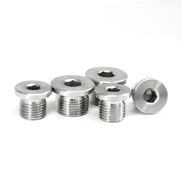 Metric Socket Pipe Plugs