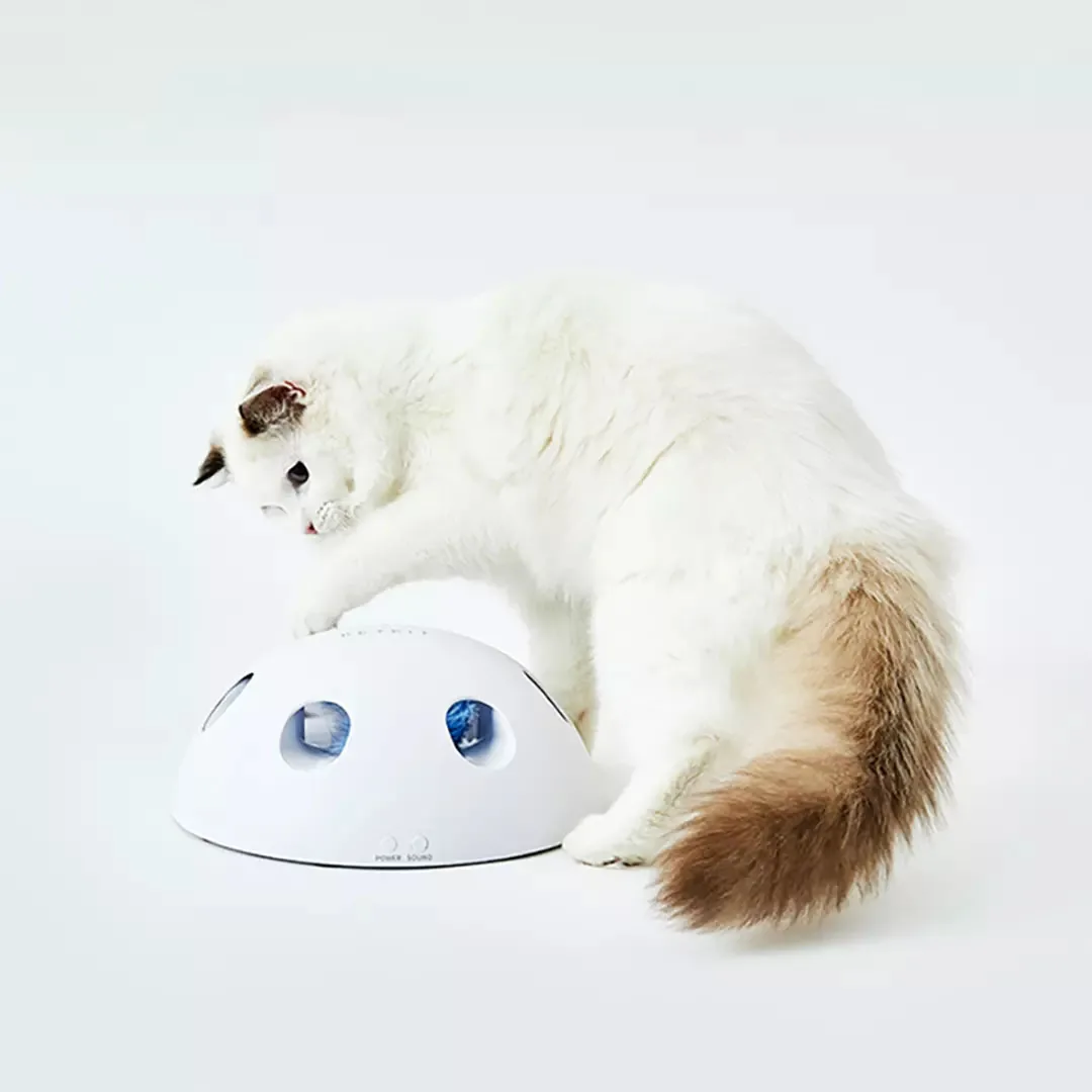 Petkit-Electronic-Hemisphere-Squeak-Feather-Cat-Toy-Scratching-Device ...