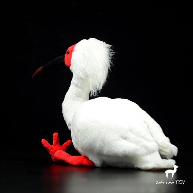 Super Cute Wild Animals