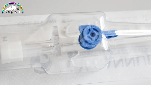 Intravenous Injection Catheter Cannula Injection Disposable, 48% OFF