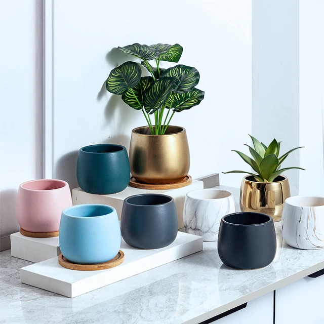 Modern Ceramic Pots