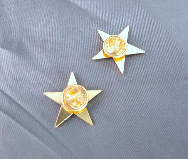 Brigadier General Insignia