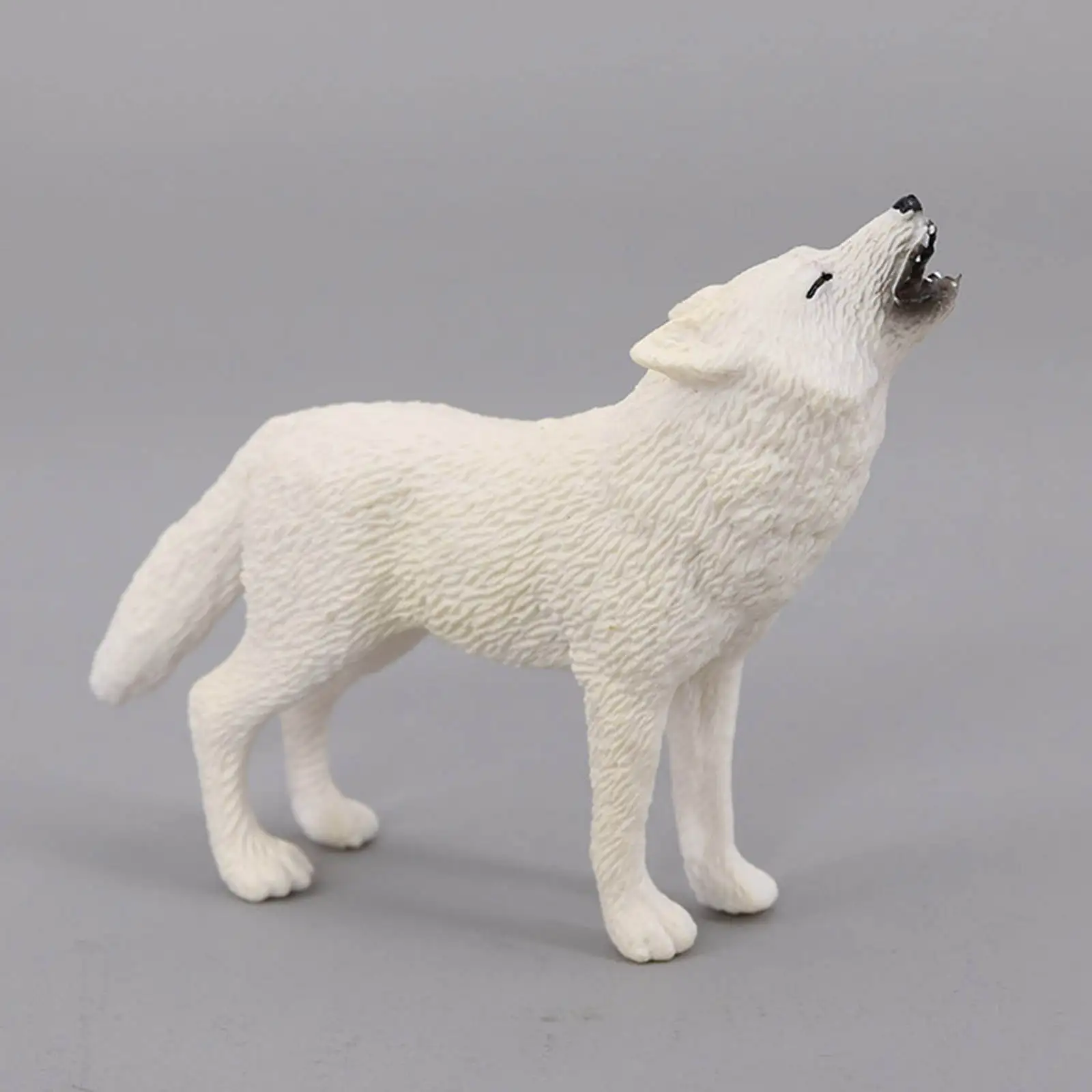 Arctic Wolf Pack In Action
