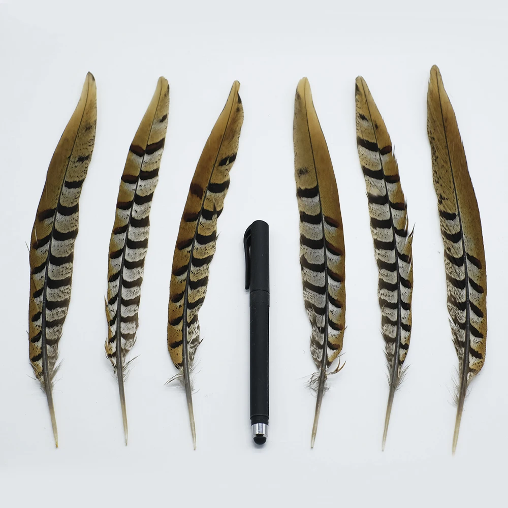 Falcon Feather Tattoo