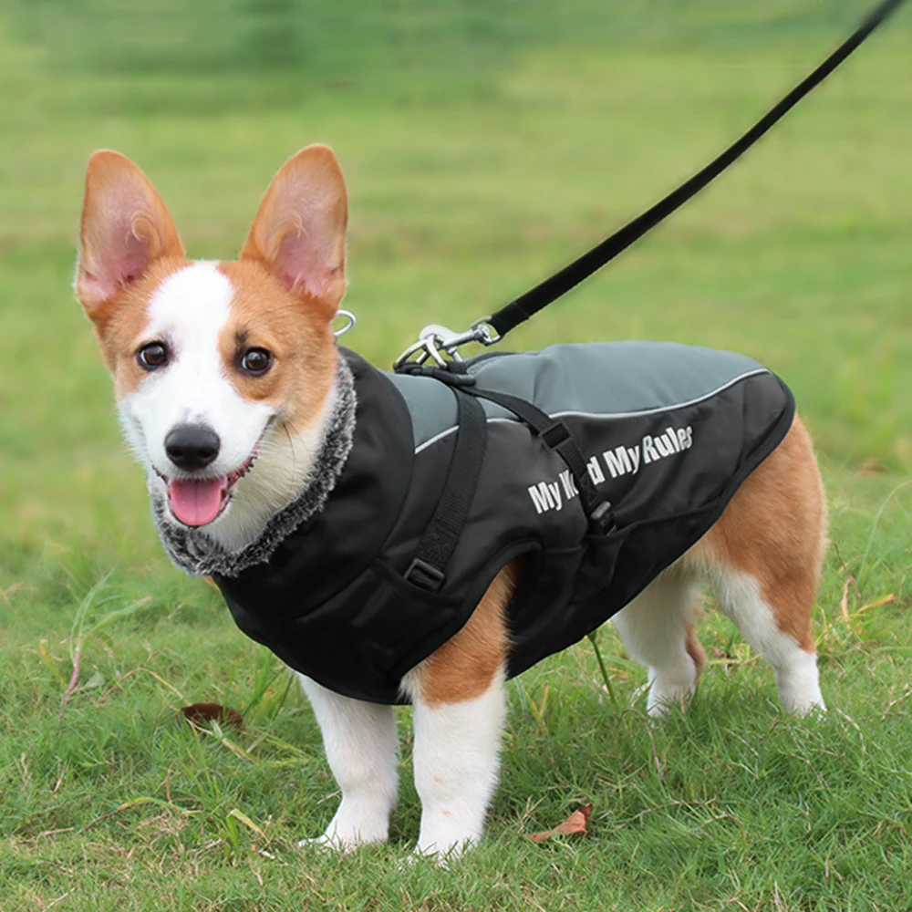 Dog Jacket with Harness | Waterproof Jacket for Large Dog | Big ...