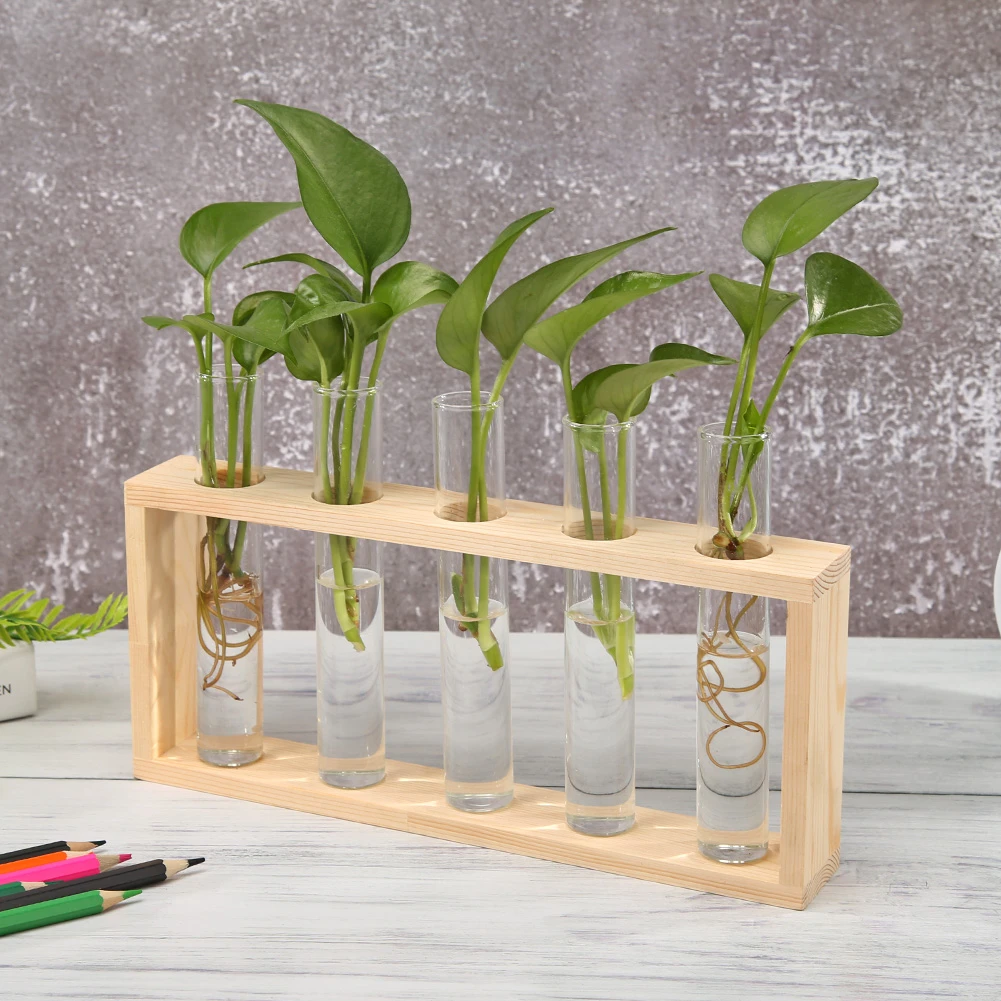Creative Hydroponic Glass Vase | Wooden Glass Vase Hydroponic ...