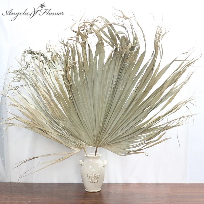 Large Dried Sago dried decor sustainable | desert decor dried sago ...